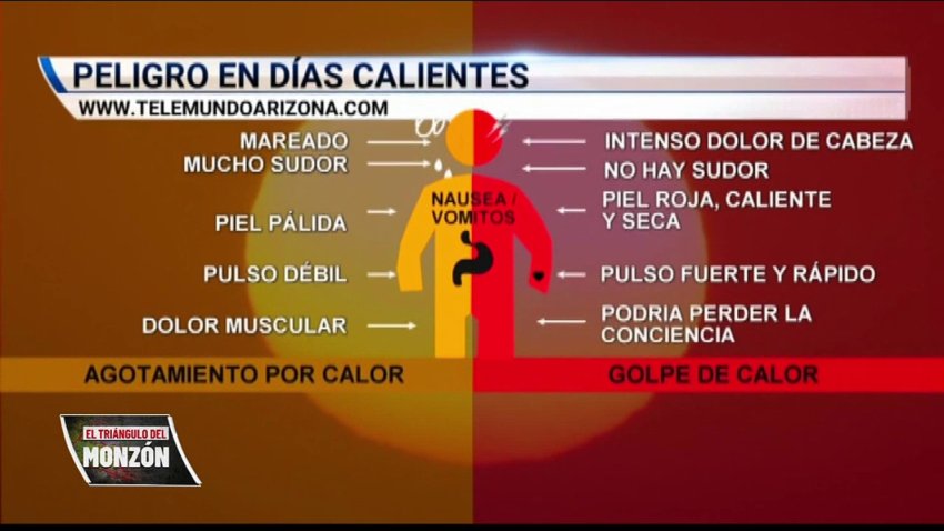 Telemundo Phoenix/Tucson – Noticias, El Tiempo y Entretenimiento de ...