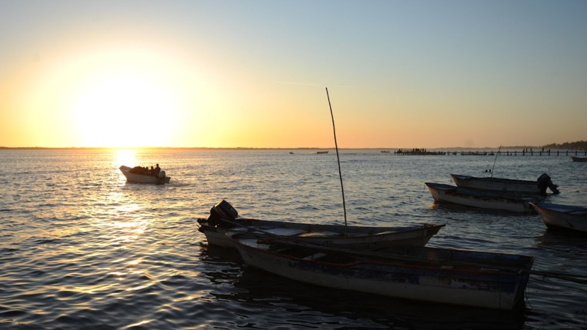 México: Bichi Beach, el proyecto para crear una playa nudista en ...