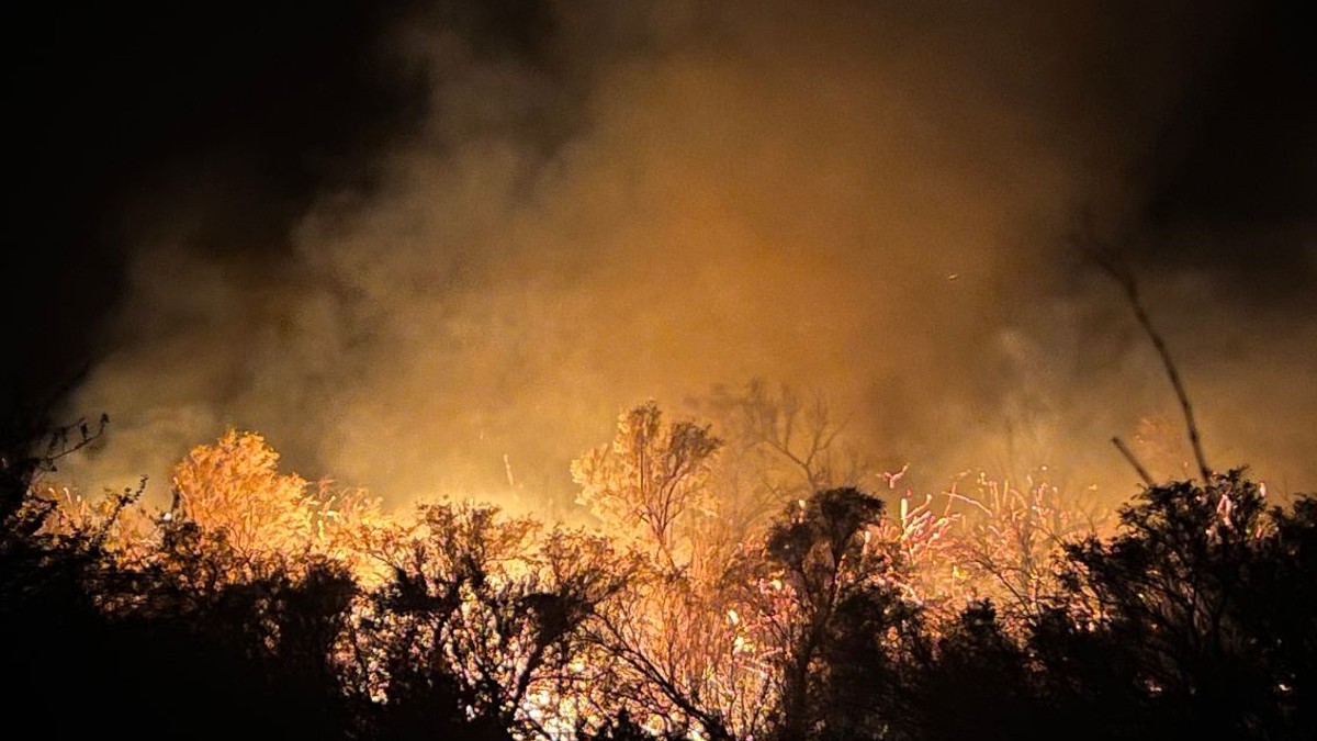 Incendio Big Sandy: consume al menos 150 acres y provoca 20 ...