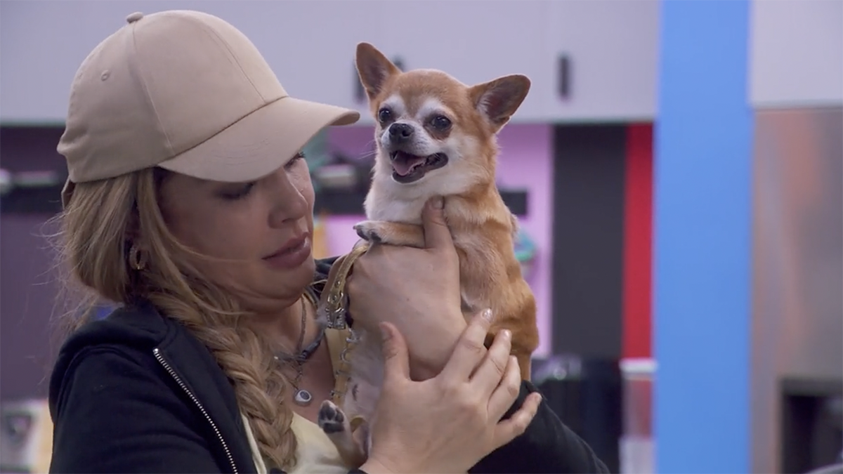 La Casa de los Famosos: Bruno, el perro de Paty Navidad – Telemundo ...