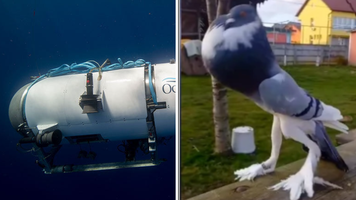 Top Unusual News of the Week: Titan Submersible Tragedy, Abandoned Baby ...