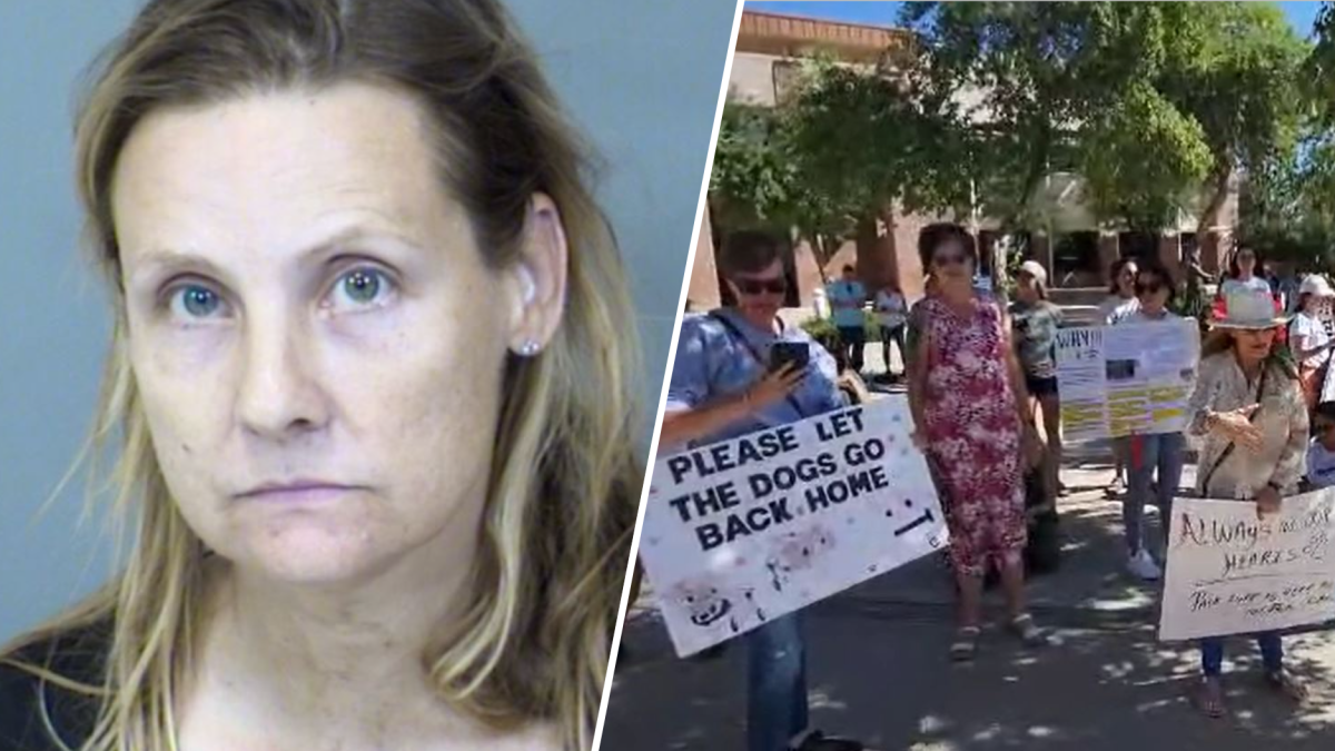 Arizona: Caso de abuso animal: mujer de Chandler acusada de 77 cargos y ...