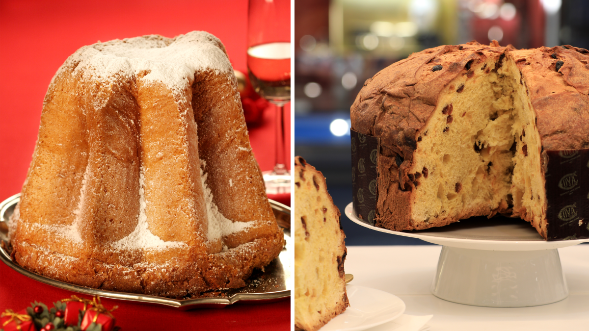 ¿Panettone o pandoro? El debate que divide familias en Navidad ...