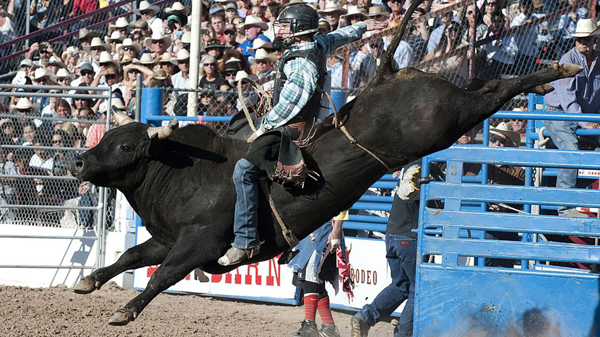 Arizona: Tucson Rodeo Parade 2024: dónde comprar tickets y cuánto ...