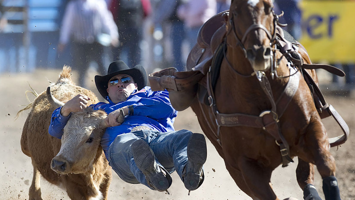 Arizona: Guía para el Tucson Rodeo 2024: tickets, eventos y más ...