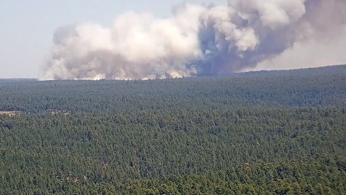 Arizona: Avanza incendio Pius: consume 460 acre y obliga a evacuaciones ...