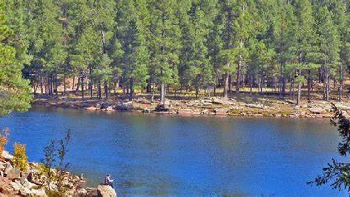 Hombre muere tras caer a través del hielo en un lago de Arizona ...